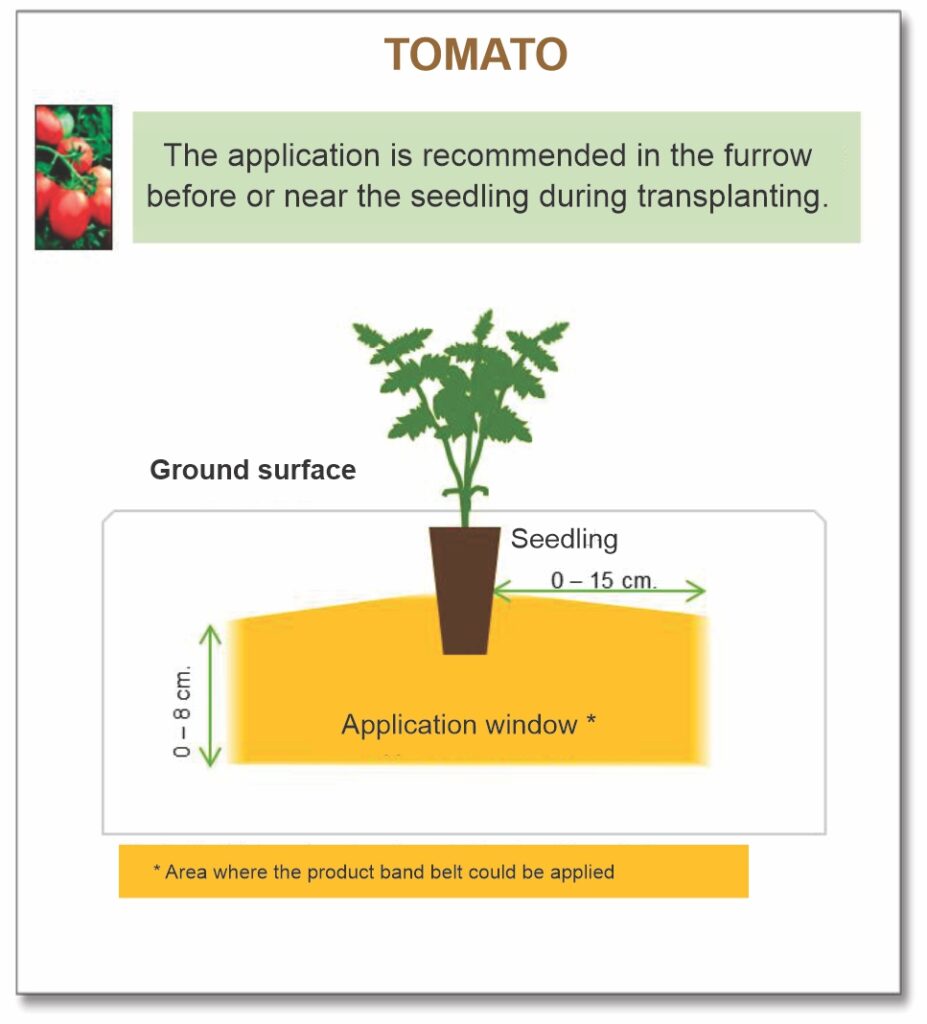 How It Works - Be-Grow Asia